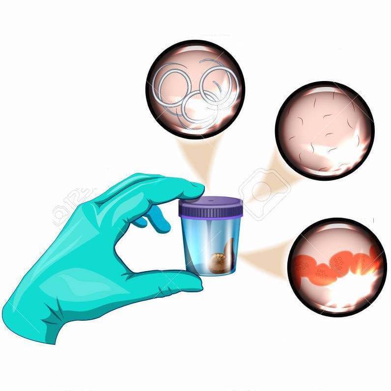 Servicios - Laboratorio Clínico Clin&Gen 🥇